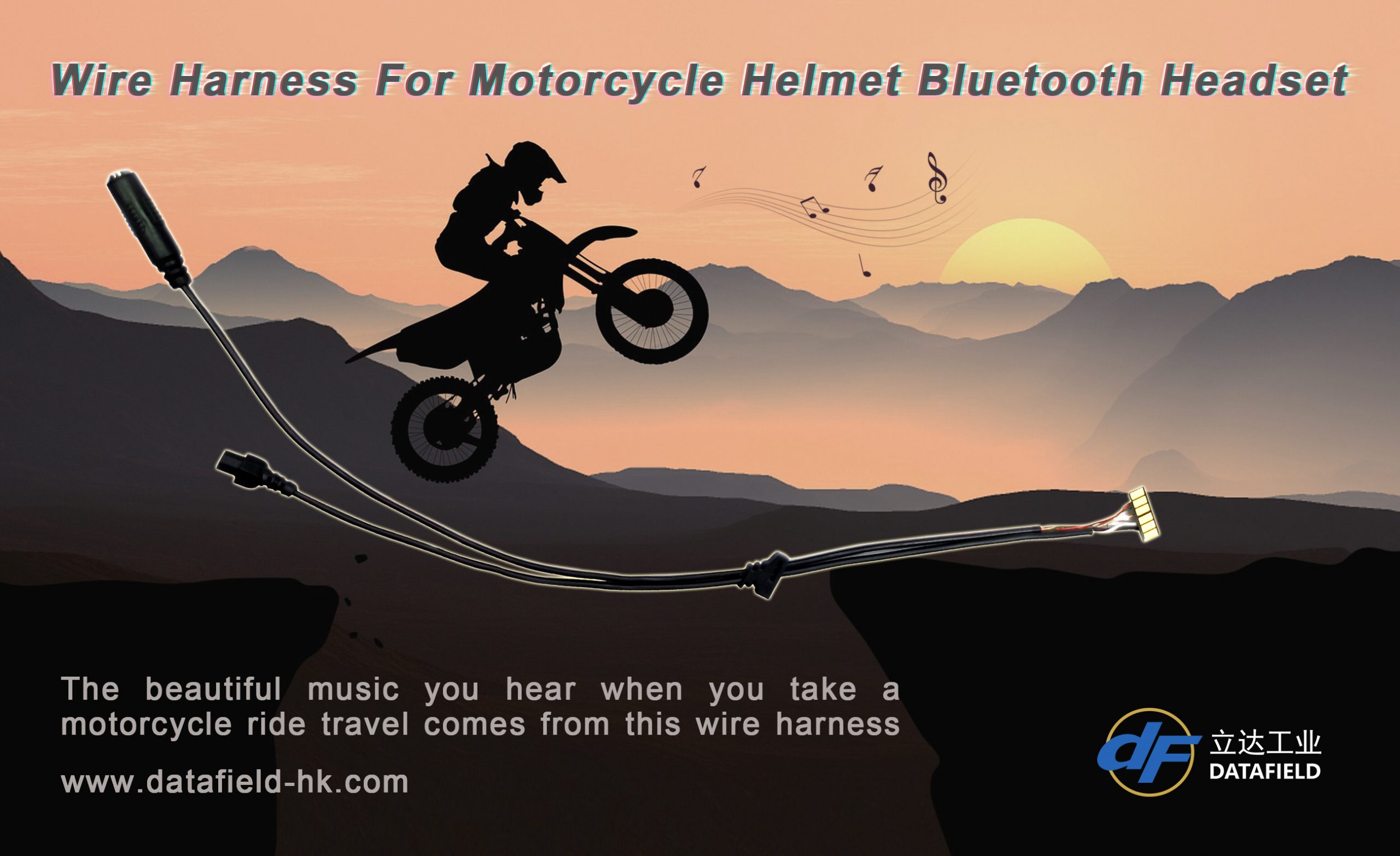 SPECIAL DESIGN MOLDED CABLE ASSEMBLY - Datafield Industries HK Ltd